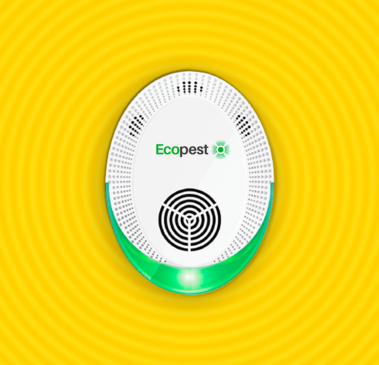 Home [link.offerte2019.club]